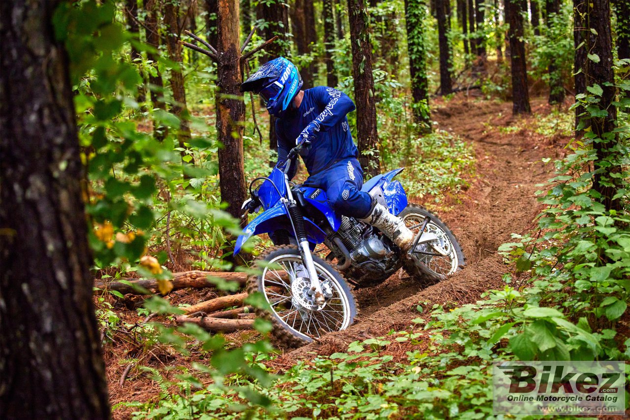 Yamaha TT-R230 poster